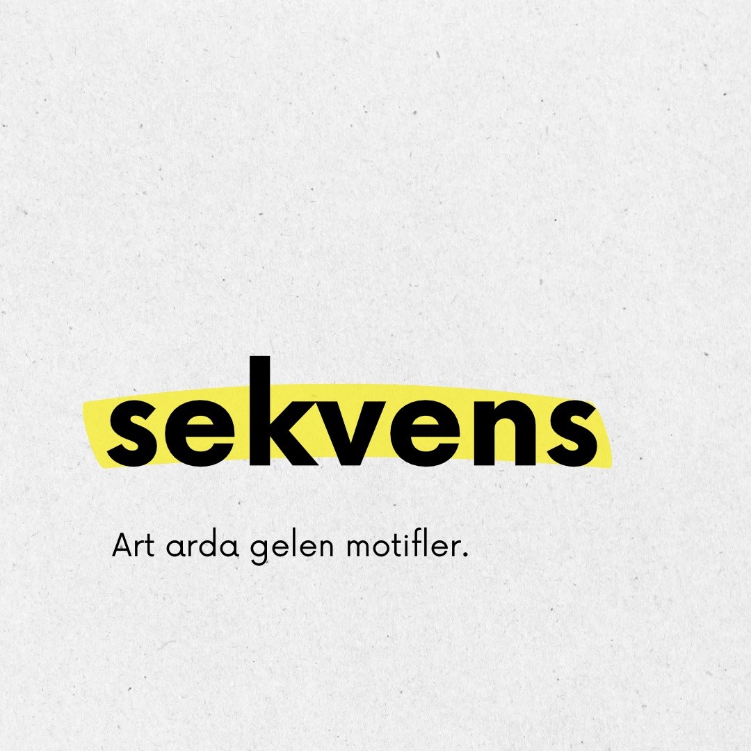 SEKVENS NEDİR? - Bilge Su Karaca